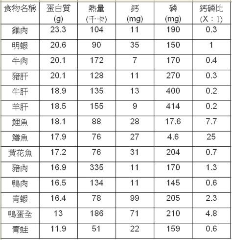 食物的營養成份 蜜袋鼯知識加油站