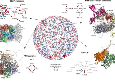 Ai Ska Kartlägga Proteiner Och öka Förståelsen För Hur Celler Fungerar