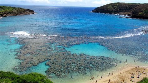 Hanauma Bay Beach