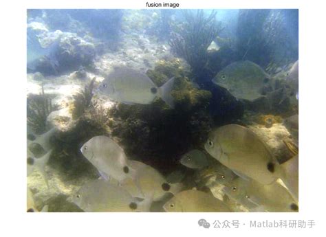 水下图像融合增强附matlab代码 csdn博客