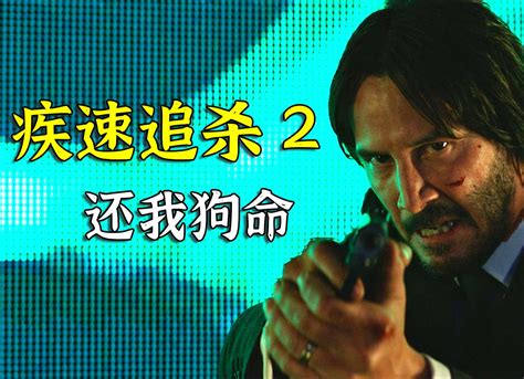 硬汉为狗报仇凭借一人之力挑翻整个黑帮超燃打戏拳拳到肉 摩斯神探 摩斯神探 哔哩哔哩视频