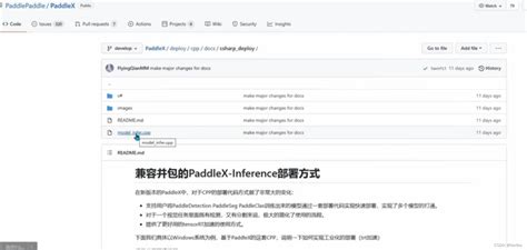 PaddleX跨平台图形化部署开发工具实战 笔记C 和QT paddlexcsharp CSDN博客