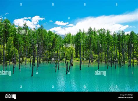 Aoike And Tokachi Mountain Range Stock Photo Alamy
