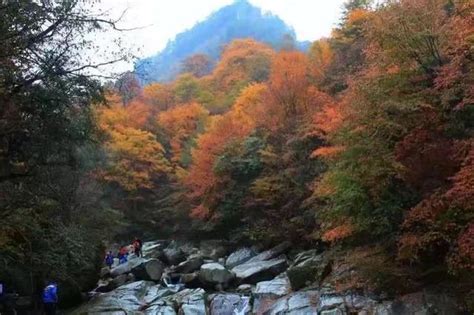 巴中光霧山紅葉節開幕式圖片分享 每日頭條