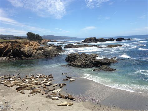 Free Images Beach Coast Nature Sand Rock Shore Cliff Cove