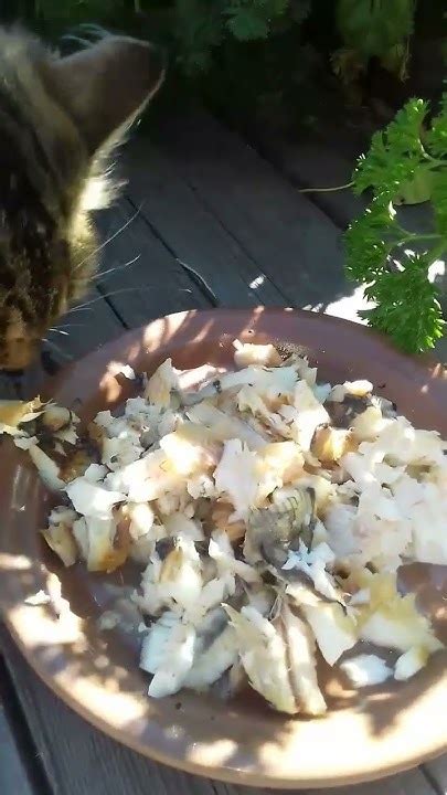 Если бы мы знали что это такое а то мы не знаем что это такое Youtube