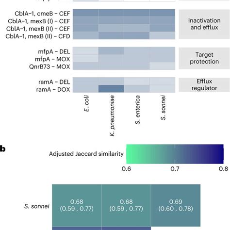 Functional Metagenomics By Reprogrammed Bacteriophage Particles A Download Scientific Diagram