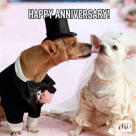 25 Happy Anniversary Memes For A Hilarious Milestone