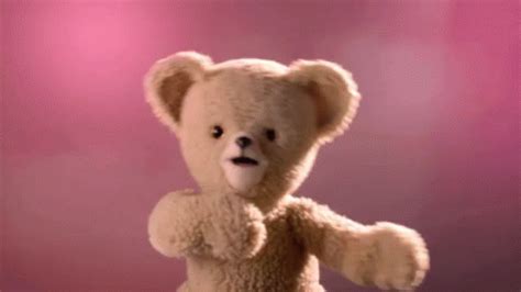 Teddy Bear  Teddybear Discover And Share S