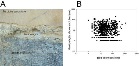 4 A Photograph Illustrating The Difference Between Turbidite Mudstone