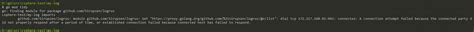 Go Get Connectex A Connection Attempt Failed Because The Connected