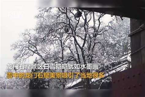 河南龙门石窟雪景白雪皑皑游客稀少摄影爱好者称50年大修中的龙门更值得留存记忆 摄影 龙门 大修
