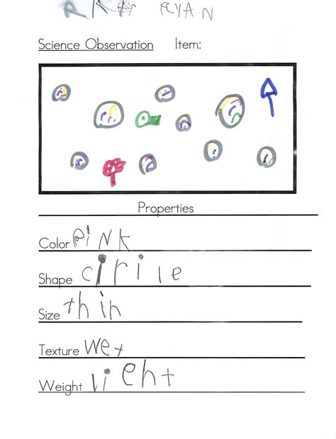 Kc Kindergarten Times Science Observation Worksheets Library