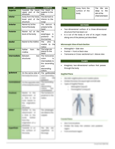 Solution Anatomy And Physiology Laboratory Module 1 Basic Anatomical
