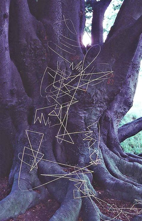Andy Goldsworthy Co Authorship With The Earth Through Land Art