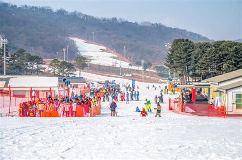 지산 스키강습 어린이 레슨 And 스키장 개장일 이용정보 네이버 블로그