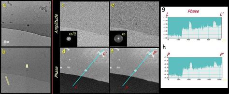 Model Calculations Illustrating Positive Effects Of Double Resolution Download Scientific