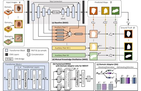 Mdvit Multi Domain Vision Transformer For Small Medical Image Segmentation Datasets Ai