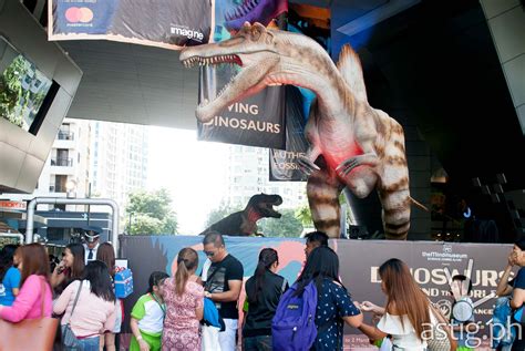 Spinosaurus And Tyrannosaurus Rex Dinosaurs Around The World Exhibit