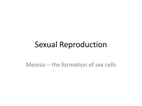 PPT Sexual Reproduction PowerPoint Presentation Free Download ID 2128014