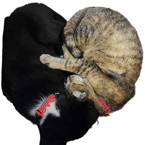 Moses Ark Moses Ark Added A New Photo