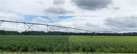 Exploring Tools To Improve Soybean Water Use Efficiency Research