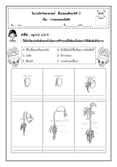 ใบงานวิ สื่อวิทยาศาสตร์เพื่อการเรียนรู้ By Krunuch Nusara