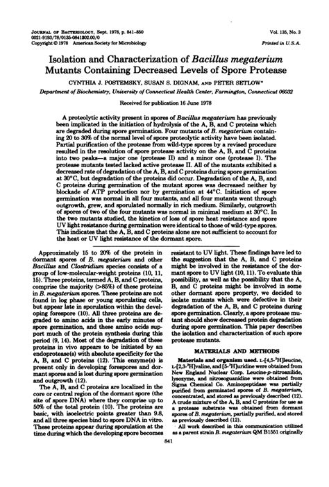 Pdf Isolation And Characterization Of Bacillus Megaterium Mutants Containing Decreased Levels