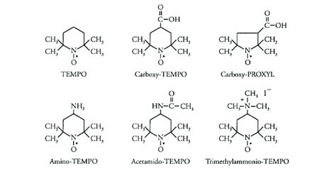 Porous Polystyrene Co Divinylbenzene Monoliths With Controlled Pore Download Scientific