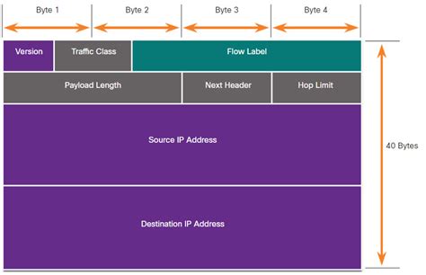CyberOps Associate Module 5 Network Protocols