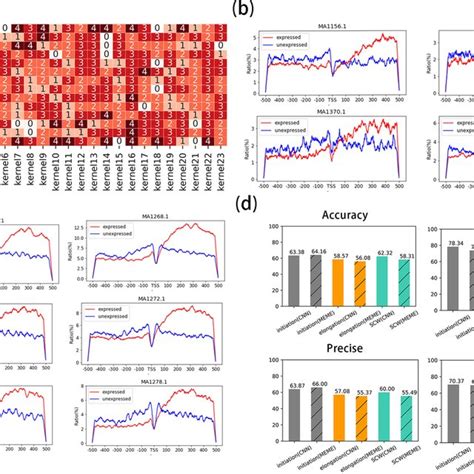 Pipeline To Interpretate Cnn Models By Adjusted Kernel Transformation