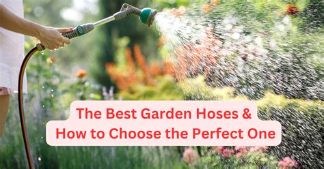 Garden Hoses The Best Garden Hoses And How To Choose The Perfect One