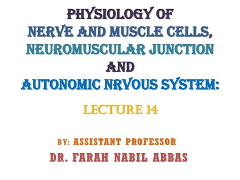 PDF PHYSIOLOGY OF NERVE AND MUSCLE CELLS Quick Revision Ofanatomic
