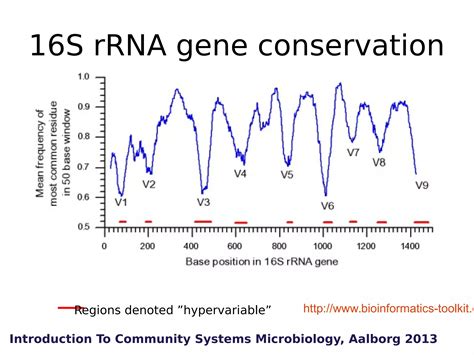 Amplicon Sequencing Introduction Ppt