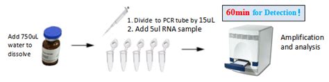 COVID 19 Mutation Multiplex RT PCR Detection Kit Lyophilized