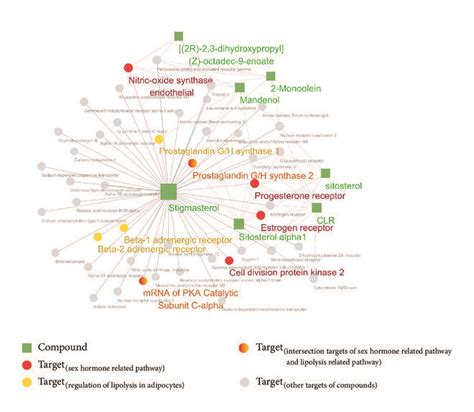 Compoundtarget Networks Of The Component Herbal Formulation For Download Scientific Diagram