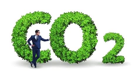 碳中和小白如何入局五个步骤教会你从零到专家 知乎