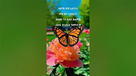 eritreanmovie habesha eritreanmusic eritreancomedy eritrea eritrean eritreanews