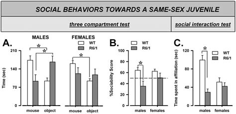 Sociability And Affiliation With A Same Sex Juvenile Mouse Preference Download Scientific