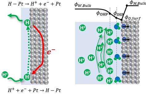 The Reaction‐facilitated Adsorbed Hydrogen Diffusion Transport Download Scientific Diagram