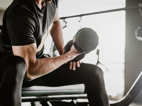 Seated Bicep Curl Everything You Need To Know YR Fitness