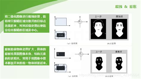 【人脸检测】【五官定位】基于matlab的人脸检测系统 Csdn博客