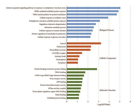 Go Analysis For Biological Process Cellular Component And Molecular