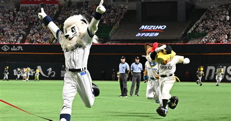 プロ野球オールスター第1戦 清宮がサヨナラ本塁打 写真特集227 毎日新聞