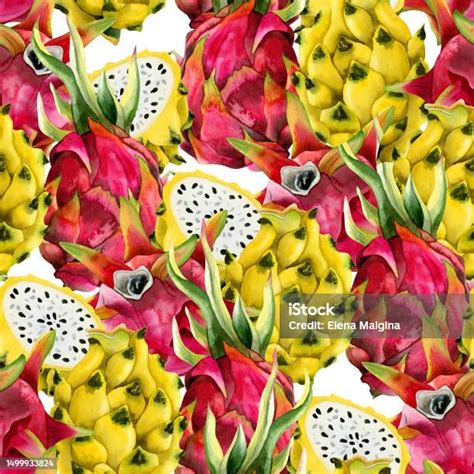분홍색과 노란색 Pitahaya 용 과일은 수채화 Pitaya 선인장과 원활한 패턴입니다 직물 여름 음식 포장지 주방 및 메뉴 디자인을 위한 밝은 열대 인쇄 배경 0명에