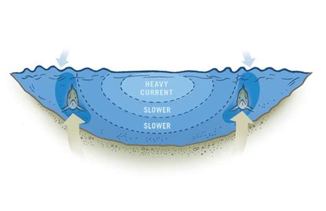 The Anatomy Of A River Outdoor Canada