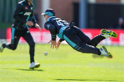 කිවි පිතිකරුවන්ගේ ප්‍රහාර හමුවේ සිංහයෝ පසුබසිති