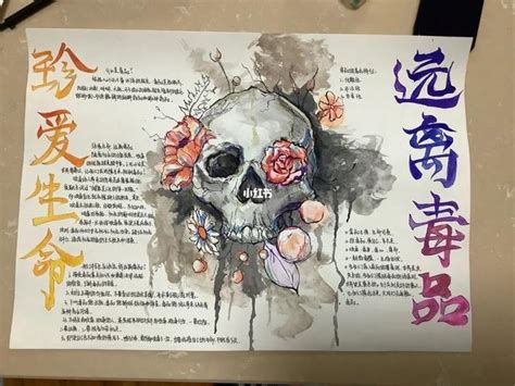 手工制作禁毒手抄报 制作手抄报 普车都