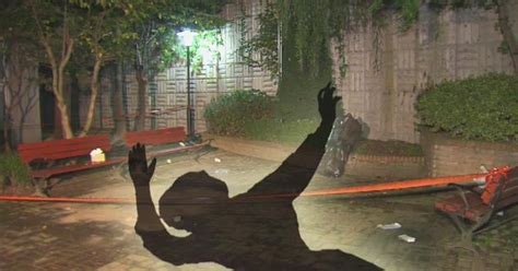 캣맘 사망 사건 피해자 딸 엄마는 캣맘 아냐 캣맘 논란 일축