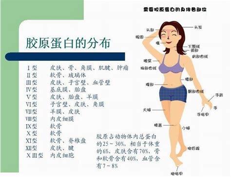 膠原蛋白豐胸胸部是怎麼一步步變大的 壹讀